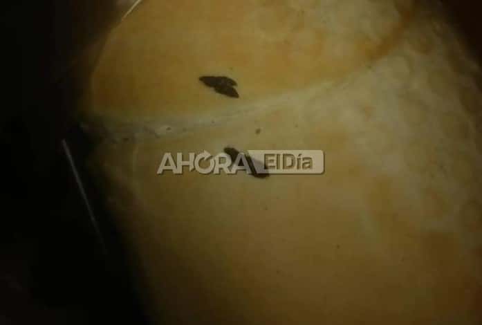 Compró pan y tenía excremento de rata: radicó la denuncia en la ...