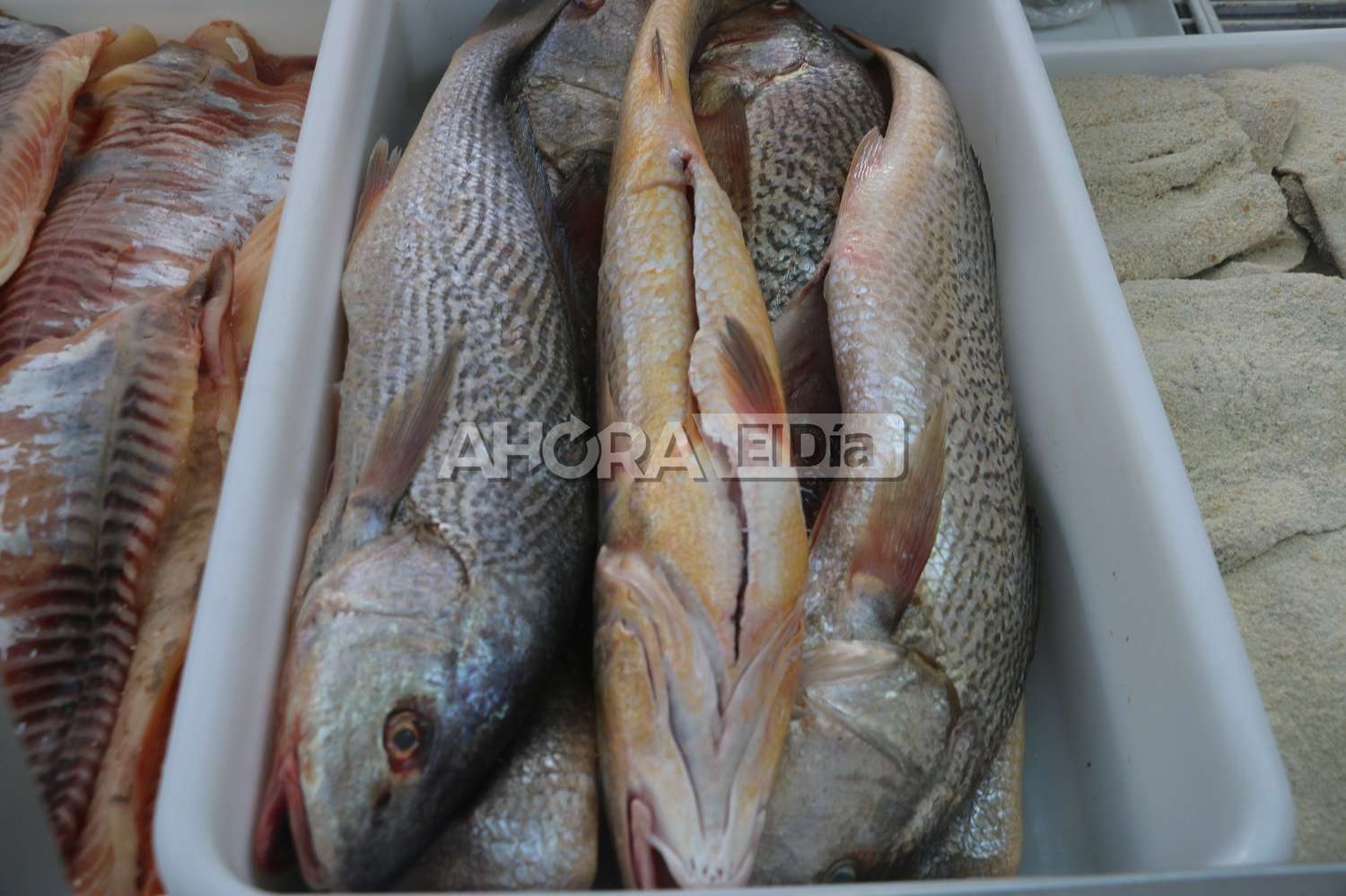 Las ventas de pescado de río y mar se incrementaron hace dos semanas en la ciudad – El Día de ...
