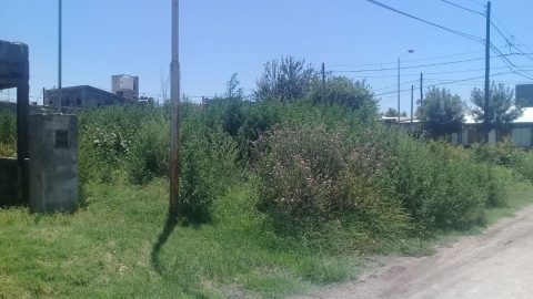 La Municipalidad intensifica el control de los terrenos baldíos – El ...