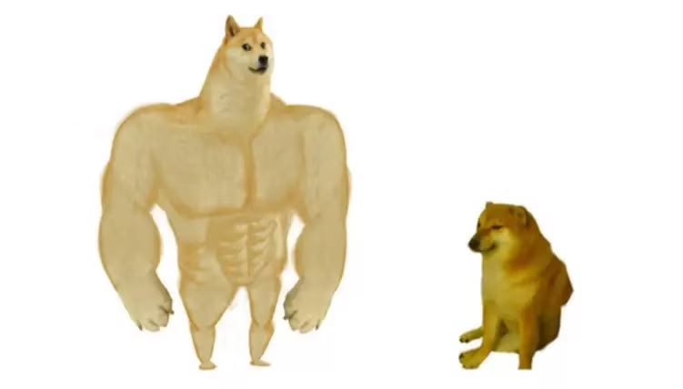 Dolor en el mundo de los memes: murió Cheems, más conocido como el ...