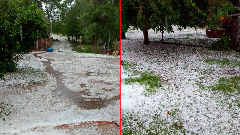 Impactante granizada afectó al sur entrerriano – El Día de Gualeguaychú