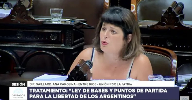 Carolina Gaillard: "Esta ley busca eliminar el Estado" – El Día de ...
