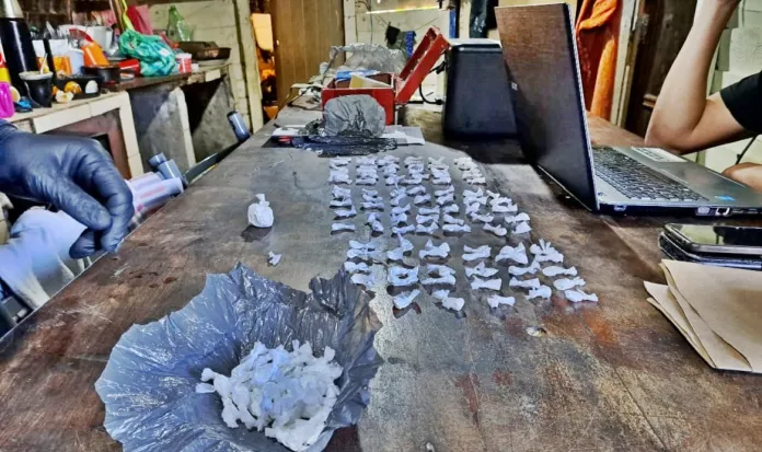 Secuestraron 300 Envoltorios De Cocaína Un Arma De Fuego Y Detuvieron