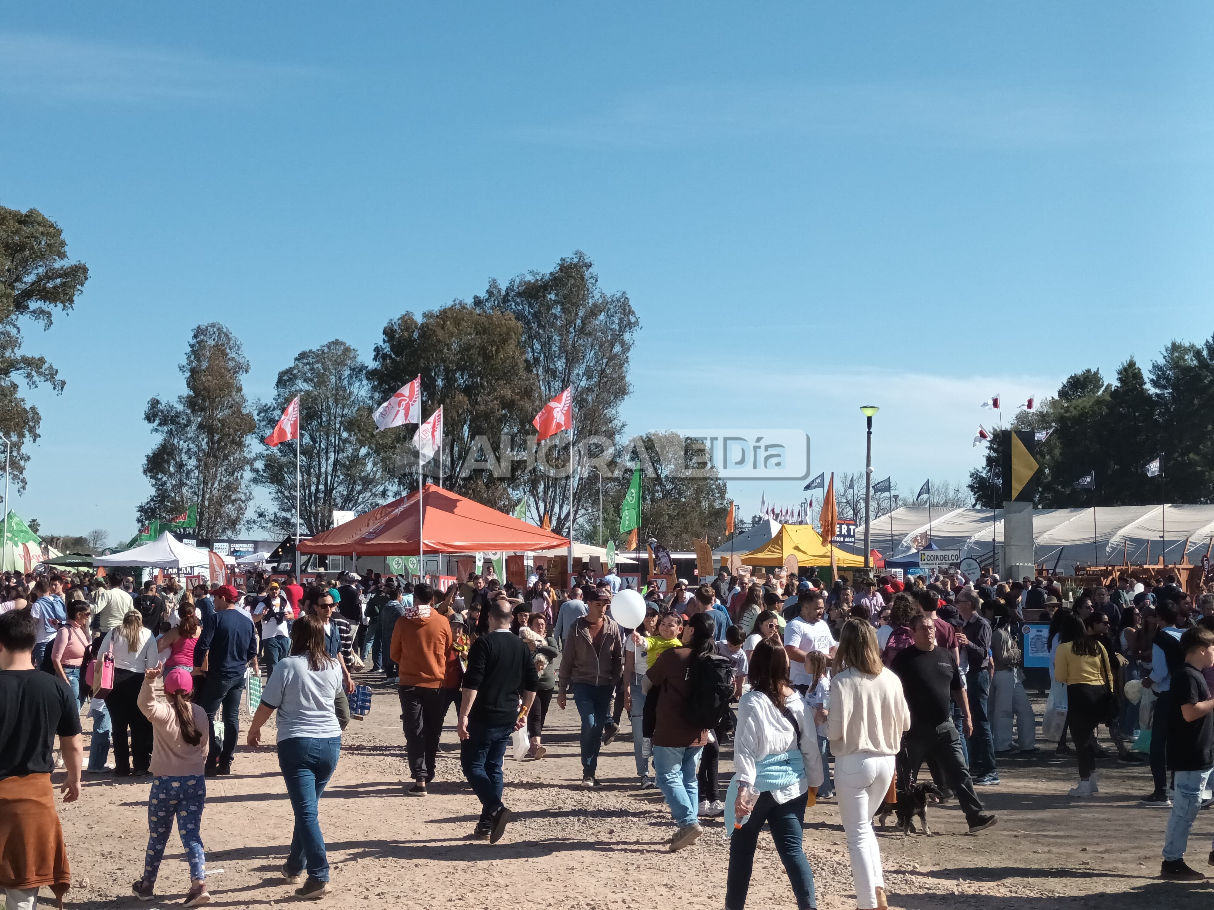 Con cifras récord de visitantes, la Expo Rural Gualeguaychú cerró de la ...