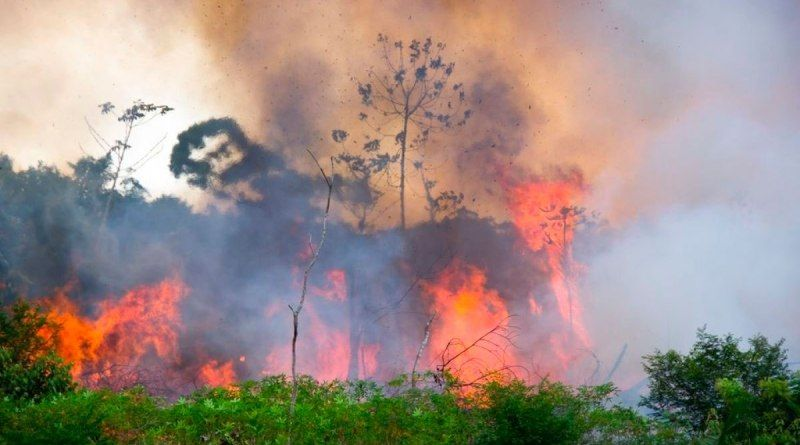Incendios forestales en Bolivia y Brasil: ¿Podría llegar el humo a ...